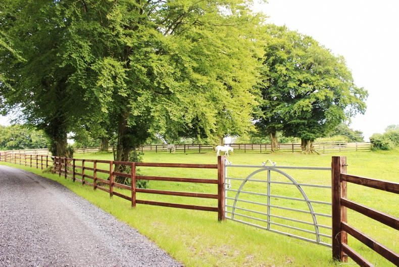 Autumn paddock tasks checklist 17 September 2021 Premium