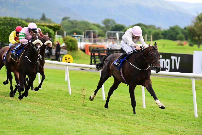 KILLARNEY SATURDAY PREVIEW: Take Turbulence to make smooth return to ...