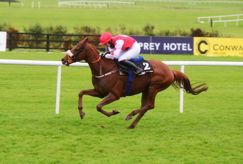 GALWAY SATURDAY: Absolute Mustard, back Colonel to get off the mark in ...