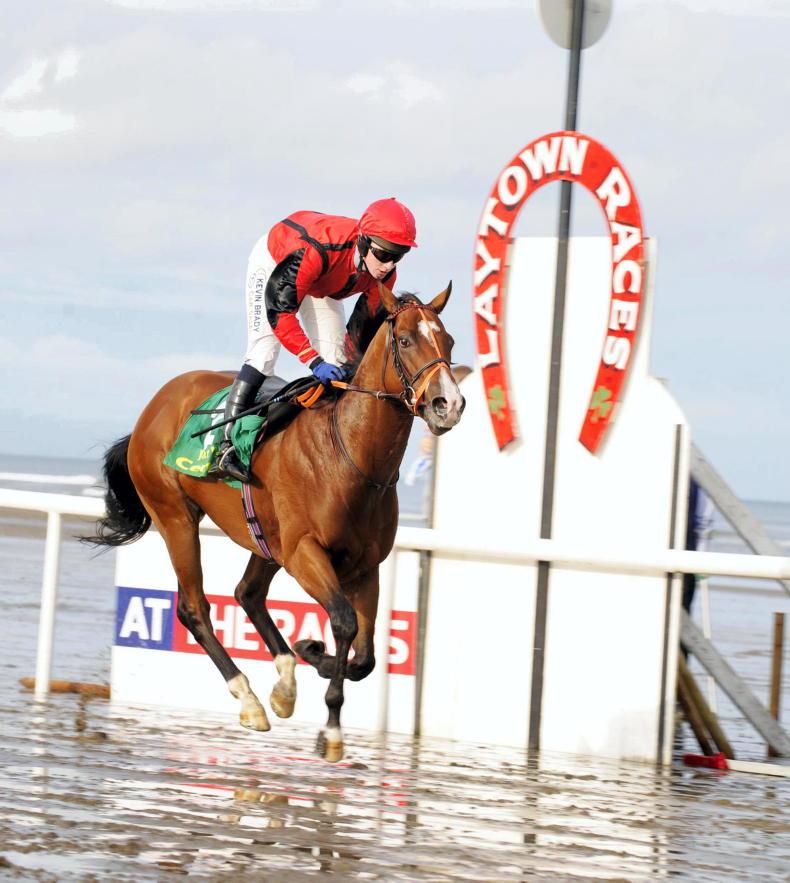 Behind The Tidal Mile: Laytown Racecourse 29 October 2021 Free