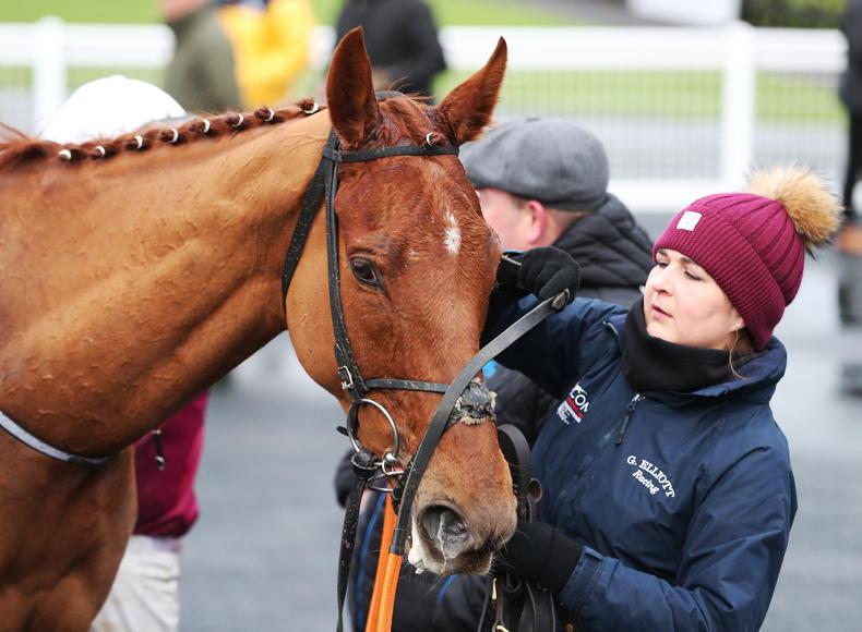 VIDEO: Run Wild Fred runs riot in Troytown 21 November 2021 Free