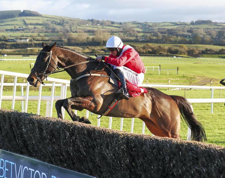 ANDY BATE: Allaho in a resolute show 10 December 2021 Free