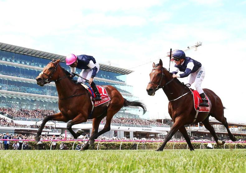 Irish horses, jockeys and trainers who had success in Australia 22 ...