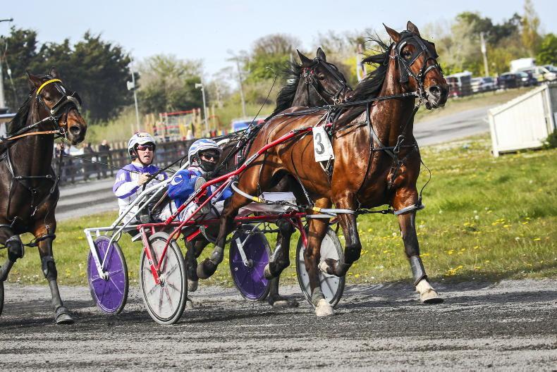 HARNESS RACING: Kane crowned as new champion 31 December 2021 Free