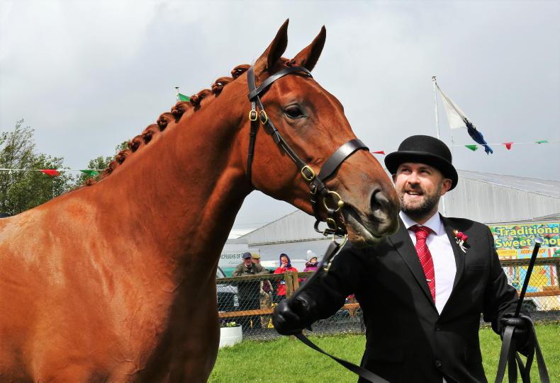 BREEDERS' 10 - Thomas Conlon: Striking a balance 21 January 2022 Free