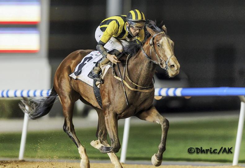 UAE: Godolphin dominate at Carnival as Lazuli sparkles 25 February 2022 ...