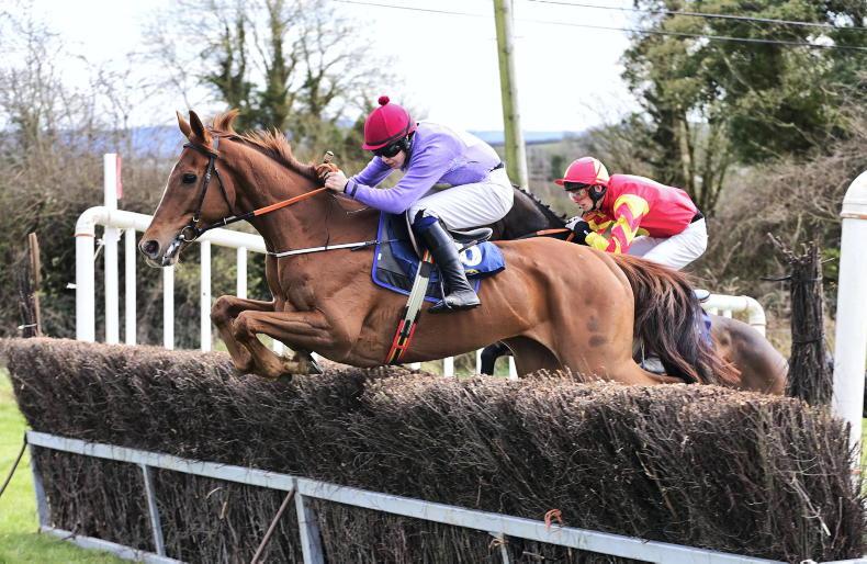 PONY TALES: Double puts Doyle in lead 08 April 2022 Free