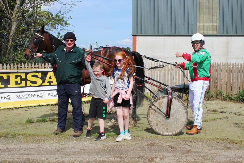 HARNESS RACING: Roche doubles up in the sunshine 13 May 2022 Free