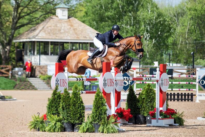 SHOW JUMPING: Trio of Grand Prix victories for Irish riders 16 May 2022 ...