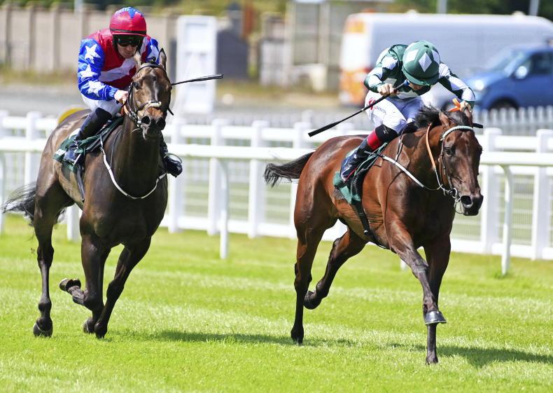 CURRAGH SATURDAY: Go with Soul to continue progression in the Scurry 14 ...