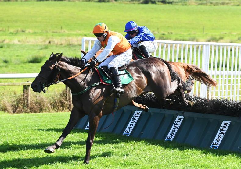 DOWNPATRICK MONDAY: Kal comes clear of the carnage 02 September 2022 Free