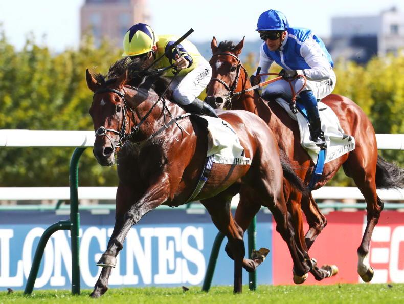 FRANCE: West Wind blows away rivals 09 September 2022 Free