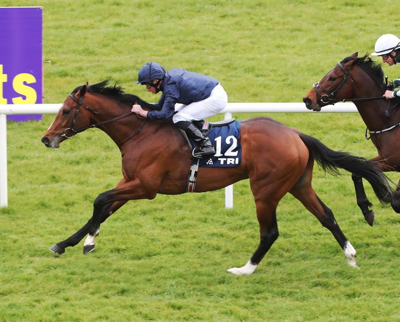 VIDEO: Waterville wins Irish Cesarewitch 25 September 2022 Free