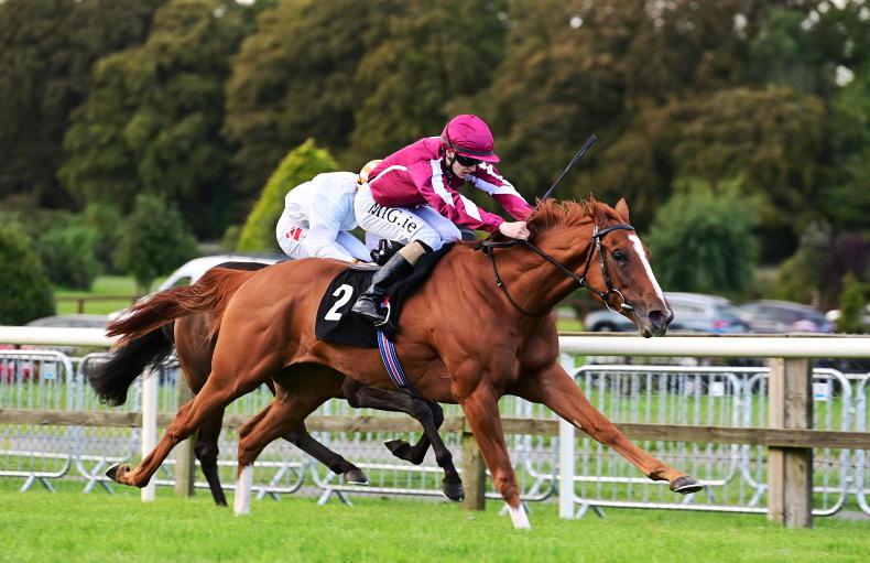 LEOPARDSTOWN SATURDAY: Take a chance on Sierra Blanca in Killavullan 14 ...