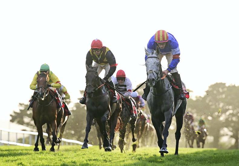 GALWAY SUNDAY: Take a chance on course winner It Could Be You 29 ...