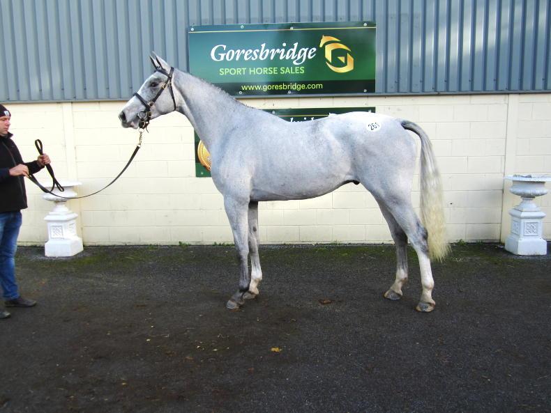 GORESBRIDGE SALES: Solid trade brings top lot of €18,000 04 November ...