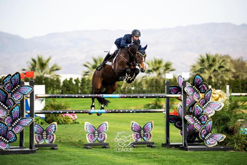 SHOW JUMPING: Irish riders rack up impressive results 04 December 2022 Free