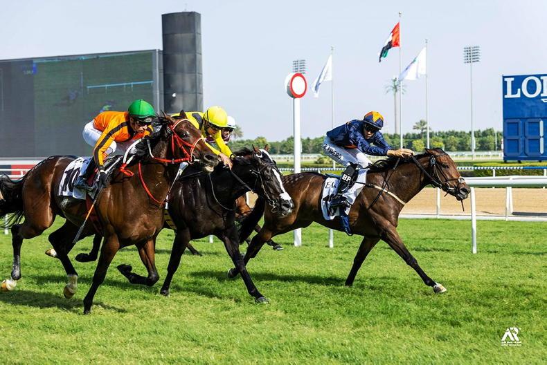 UAE: Racing In Dubai Sale graduates steal the limelight 24 February ...