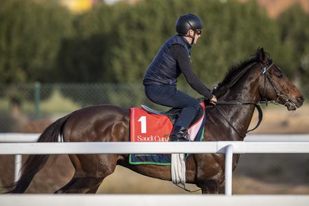 Subjectivist ready for high-profile Saudi Cup card return 22 February ...