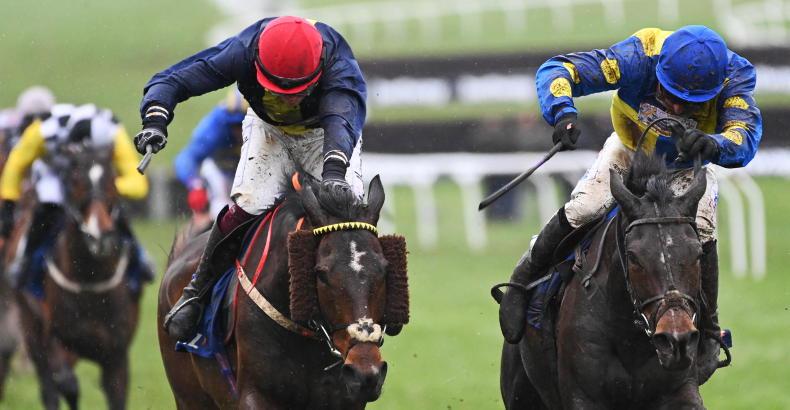 Slevin to miss Easter racing over Cheltenham whip ban 21 March 2023 Free