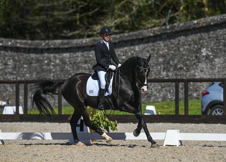 DRESSAGE: Roberts battles it out for double 24 March 2023 Free