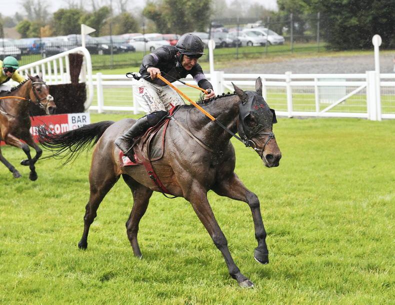 DOWNPATRICK SUNDAY: Mark Boylan's race-by-race verdicts for Ulster ...