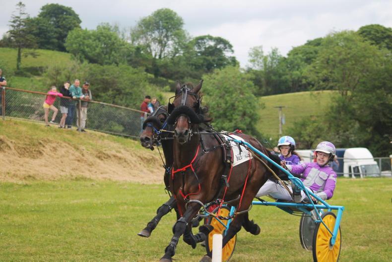 HARNESS RACING: Forbes and Quill take the honours 02 June 2023 Free