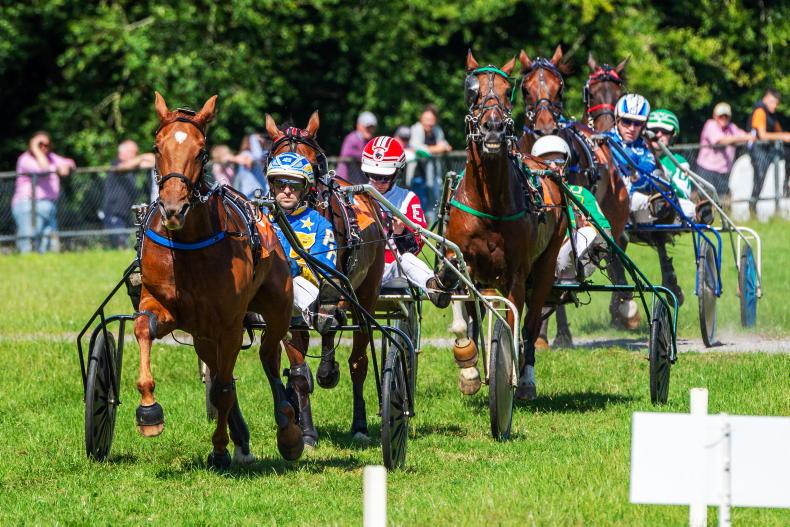 HARNESS RACING: ‘Great servant’ Panache wins yet again 30 June 2023 Free