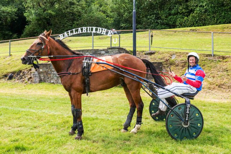 HARNESS RACING: Empereur the third for Forbes 14 July 2023 Free