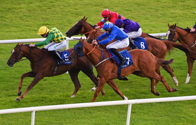 RISING STARS: Conor Stone-Walsh 21 July 2023 Free