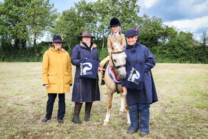 AROUND THE COUNTRY: Almost 300 IPS entries flock to show 11 August 2023 ...