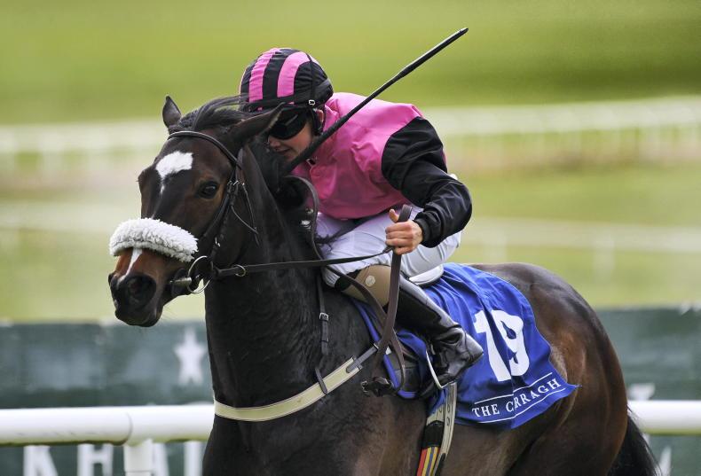 THE BIG INTERVIEW: Siobhan Rutledge 18 August 2023 Free