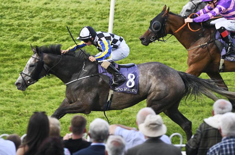 THE BIG INTERVIEW: Siobhan Rutledge 18 August 2023 Free