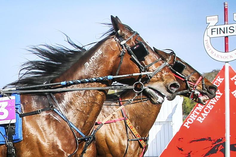 HARNESS RACING: Supreme stylist passes away in North Wales 25 August ...