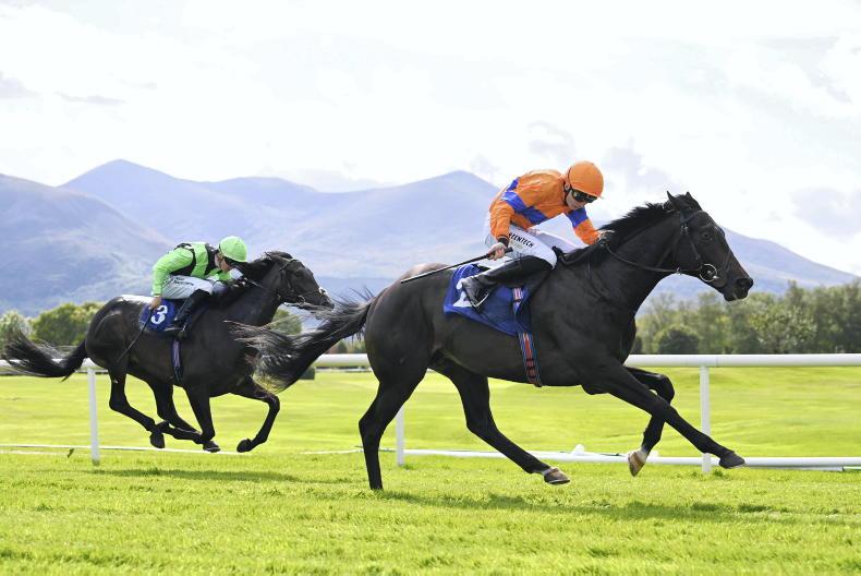 KILLARNEY THURSDAY: Jesse Evans lands Gold Cup for Meade 25 August 2023 ...