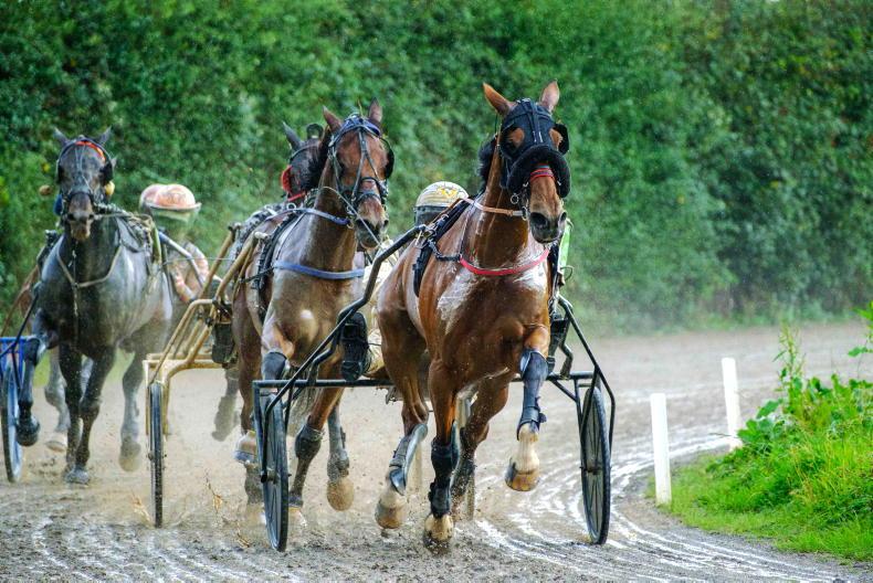 HARNESS RACING: Ecrin excels from the front to claim feature contest ...