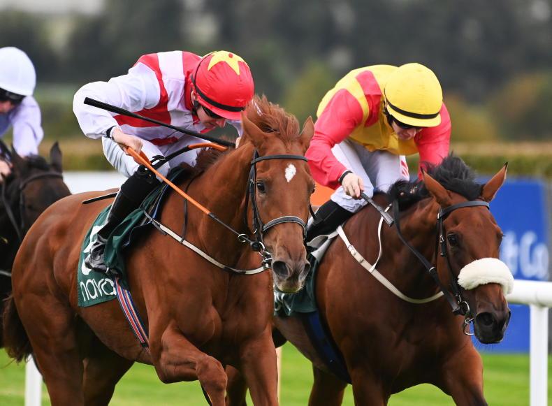 NAVAN WEDNESDAY: Joyce and Mulvany team up for double 06 October 2023 Free