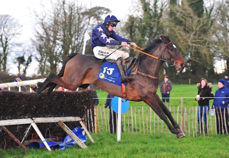 OFF-SEASON: Fell family prepare for a lively off-season 13 October 2023 ...