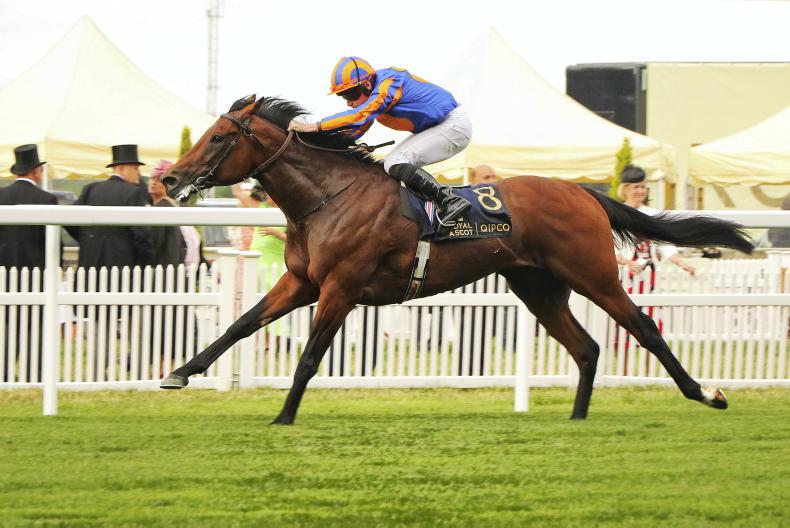NEWS: Paddington retired to Coolmore Stud 27 October 2023 Free