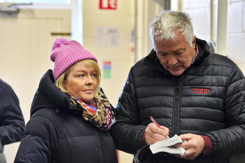 SALES: 'Blue Monday' as Bresil foals in big demand 13 November 2023 Free