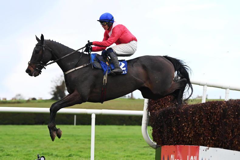 Allaho’s Cheltenham Festival Options Could Change with Big King George ...