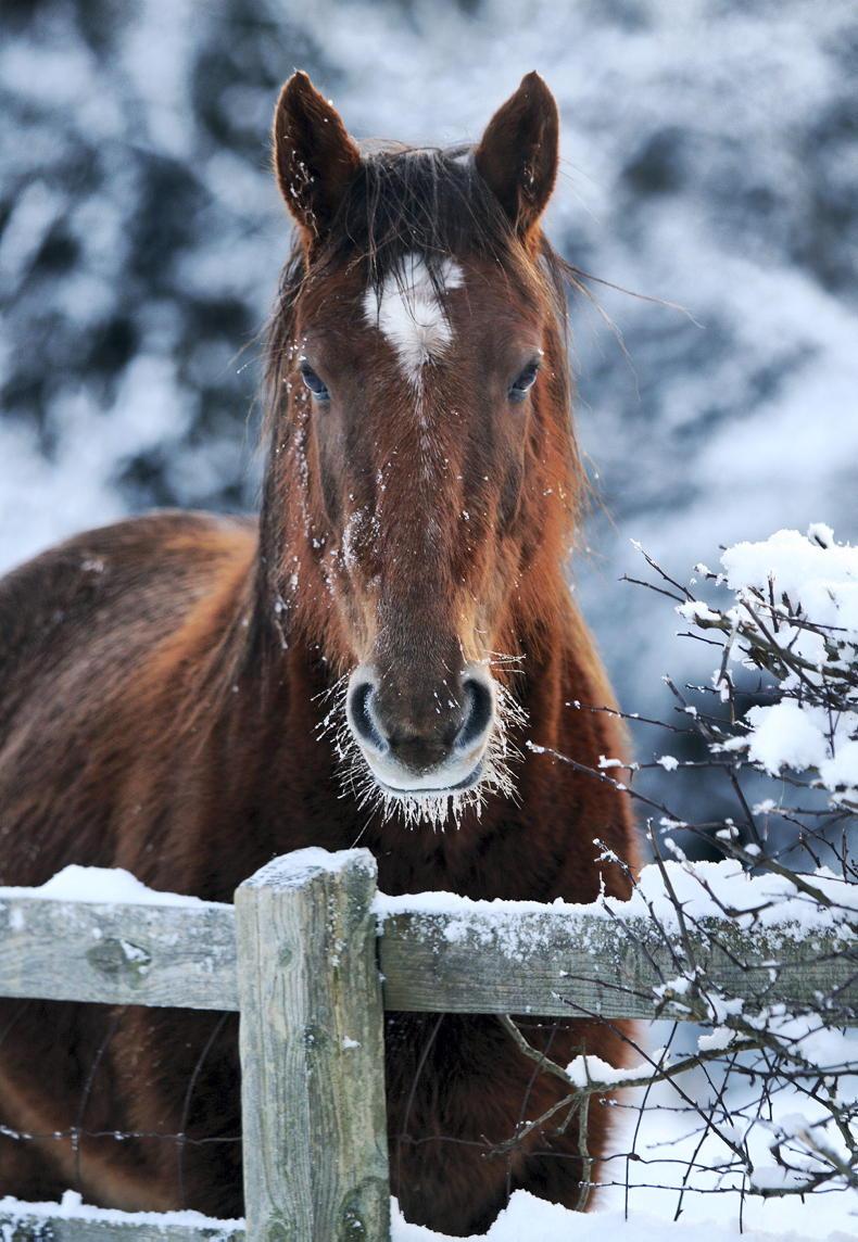 Keep your loved ones sustainably warm this winter 17 November 2023 Free