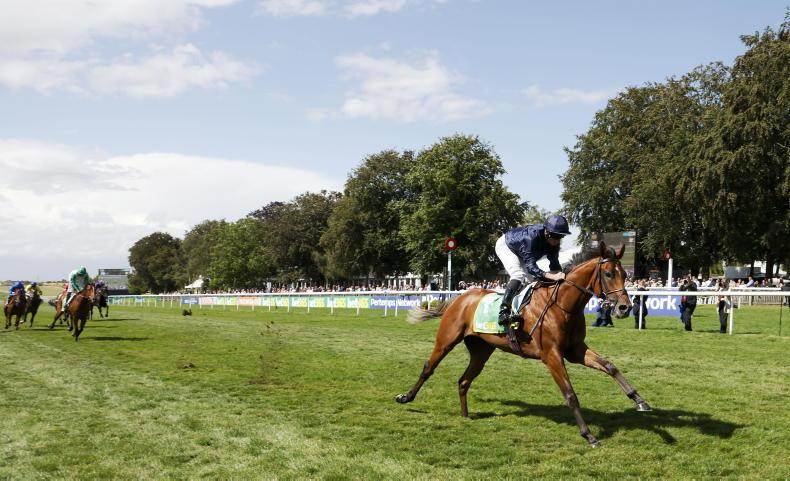 MARK BOYLAN: My 10 wishes for Irish racing in 2024 01 January 2024 Premium