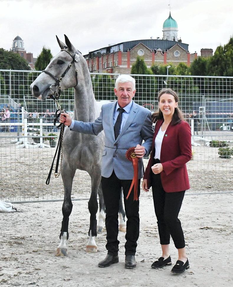 BREEDERS’ 10 – Seamus Dermody: CARLOW HIGHLIGHTS 12 January 2024 Free