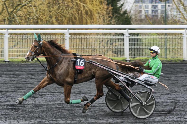 HARNESS RACING: From Finland to Vincennes - via Wexford 26 January 2024 ...