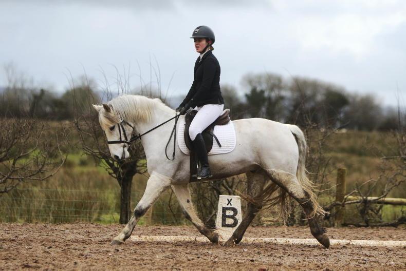 DRESSAGE: Busy times for the Northern Region 16 February 2024 Free
