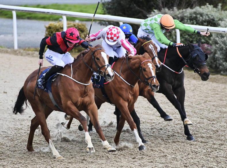 DUNDALK FRIDAY: Adam and Ado land 129/1 treble 29 March 2024 Free