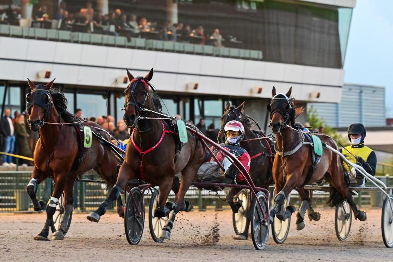 HARNESS RACING: Harness gets hearing in the Oireachtas 26 April 2024 Free