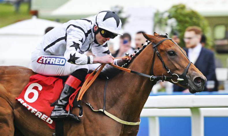 BETFRED DERBY FESTIVAL NEWS: Off to a flyer with Teej A and Two ...