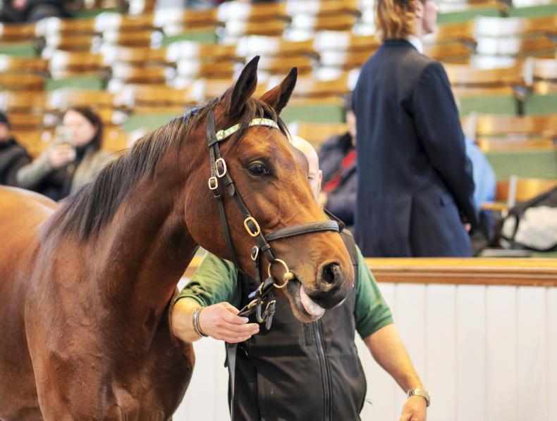 WATCH: Godolphin puts faith in Sea The Stars 14 October 2024 Free